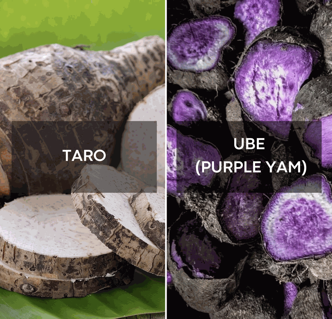 UBE NOLIA® | #1 Worldwide Premium Ube Powder