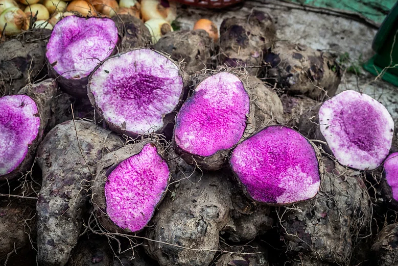 UBE NOLIA®｜Everything you need to know about Ube, the purple powder ...